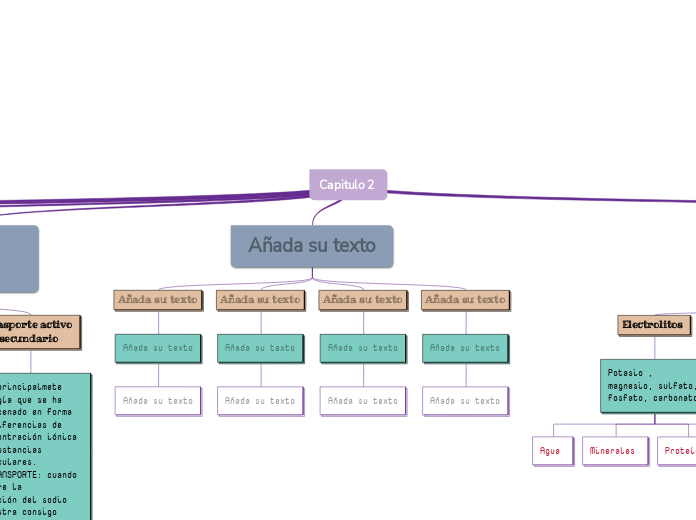 Capitulo 2 - Mind Map